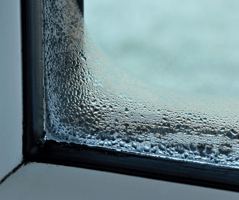 Winter Window Condensation: Causes, Prevention, and Solutions